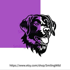Black / Brown Labrador Retriever Svg Lab Dog Vector Line Drawing ...