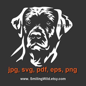 Black Labrador Retriever Svg Vector Graphic File /bmc06/ Labrador Dog ...