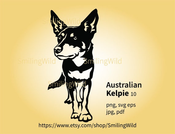 Walking Australian Kelpie Svg Vector Graphic Clip Art Kelpie - Etsy