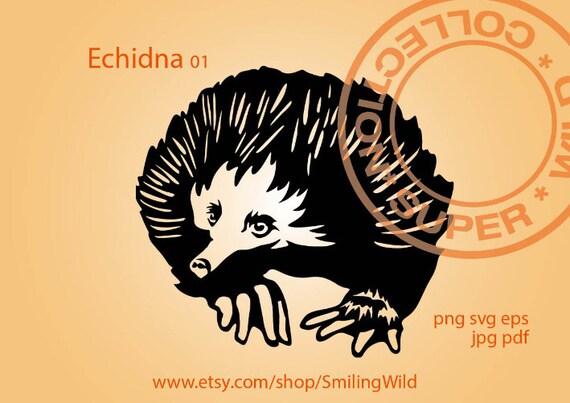 Echidna Svg Australian Wild Animal Vector Graphic Clip Art | Etsy Australia