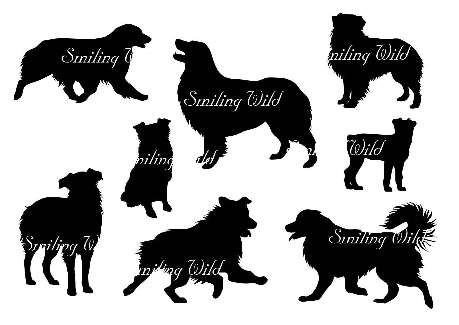 Australian Shepherd Svg Silhouette Vector Graphic Art File Dog Svg ...