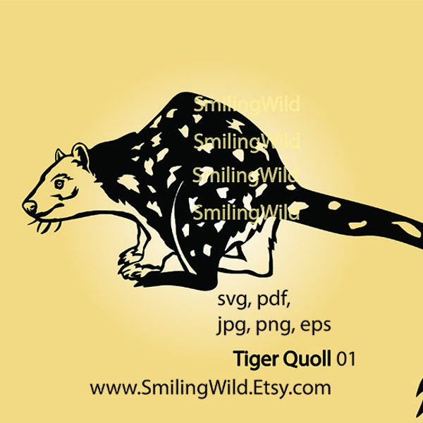 Quoll - Etsy