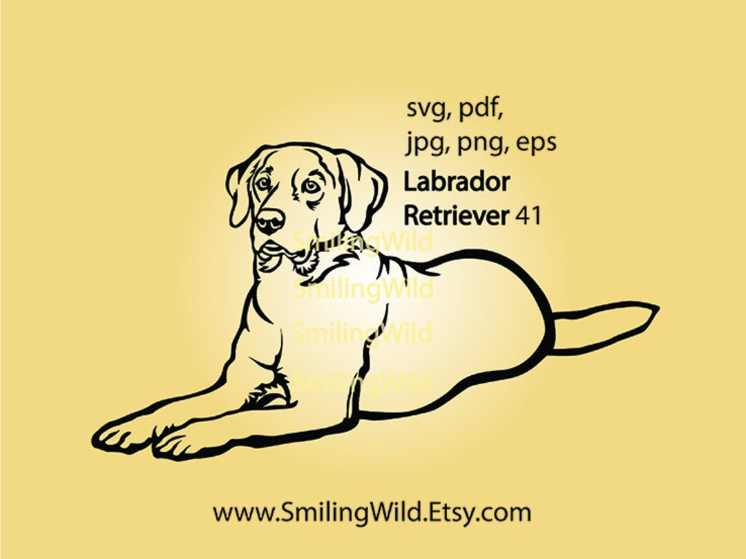 Lying Dog Labrador Retriever Svg Vector Graphic Art Cut File, Lab Svg ...