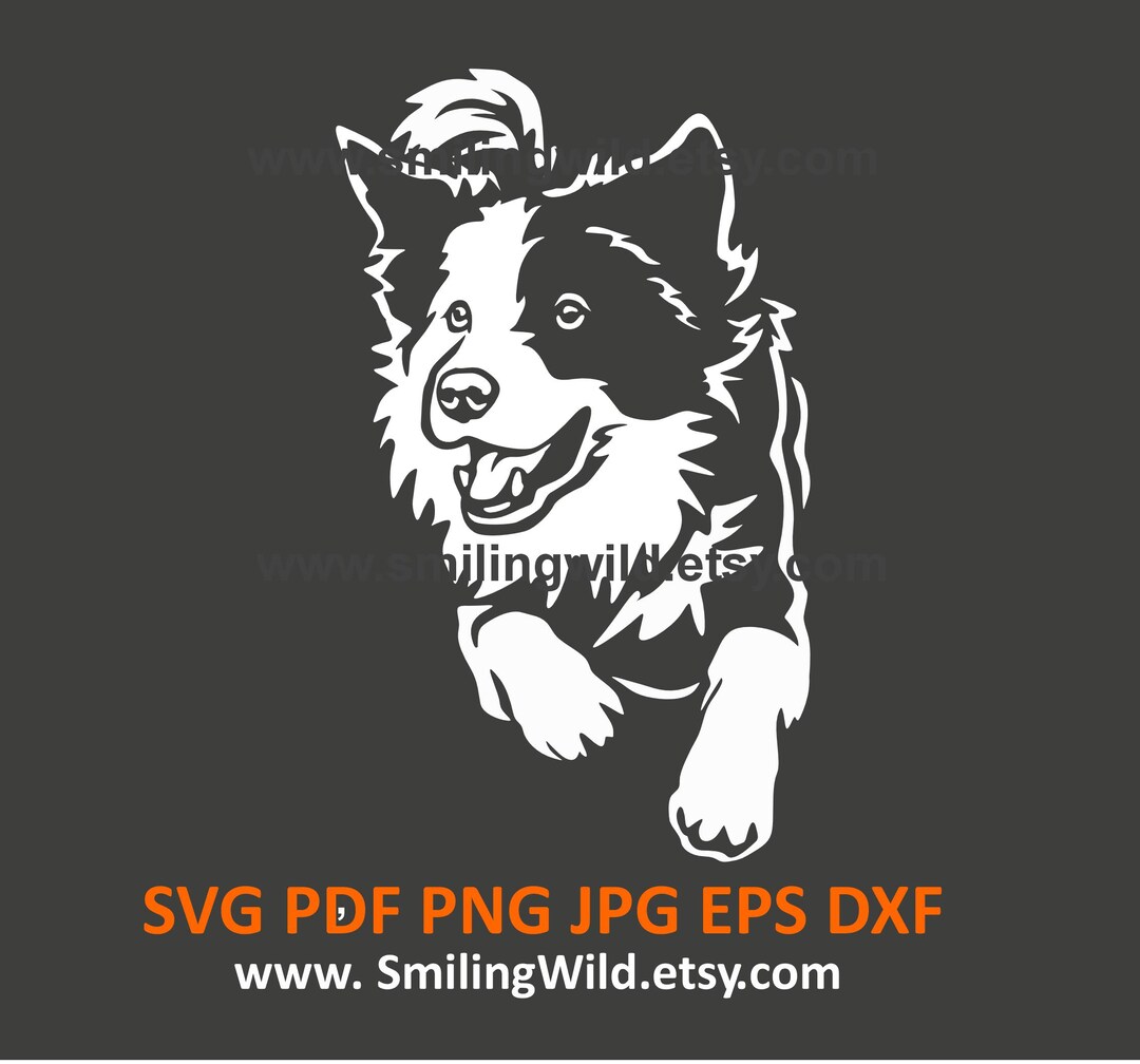 Jumping Agility Border Collie SVG, PNG, DXF Vector Graphic | Realistic ...