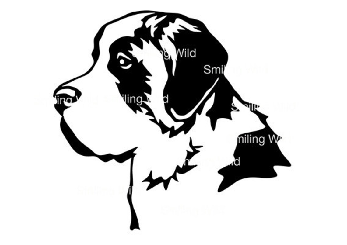 Saint Bernard Dog Svg Clipart St. Bernard Vector Graphic Art | Etsy