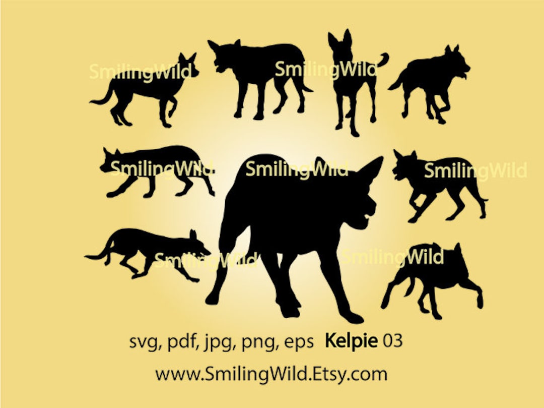 Kelpie Dog Svg Silhouette, Australian Herding Dog Cuttable Digital ...