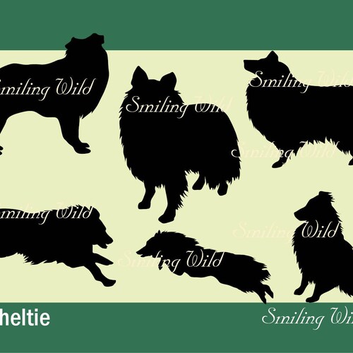 Sheltie Svg Silhouette Png Clipart Shetland Sheepdog Printable - Etsy ...