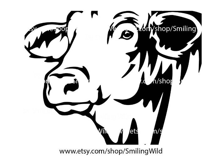Beefmaster Svg Bull Vector Portrait Cattle Clip Art - Etsy