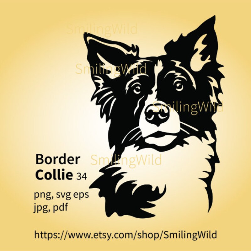 Border Collie Svg - Etsy