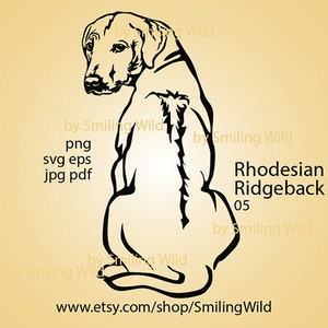 Rhodesian Ridgeback Svg /05/ Vector Graphic Art Sitting Dog Clipart for ...