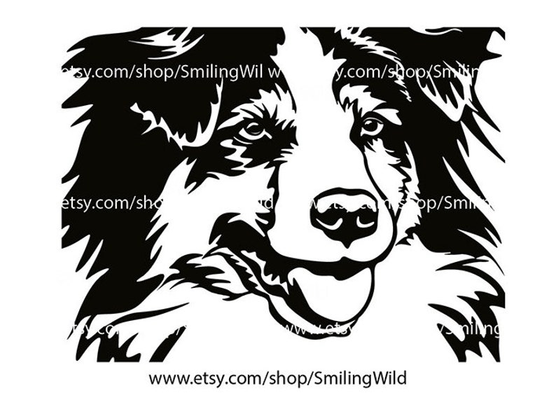 Miniature Australian Shepherd Svg /01/ Vector Graphic Art | Etsy