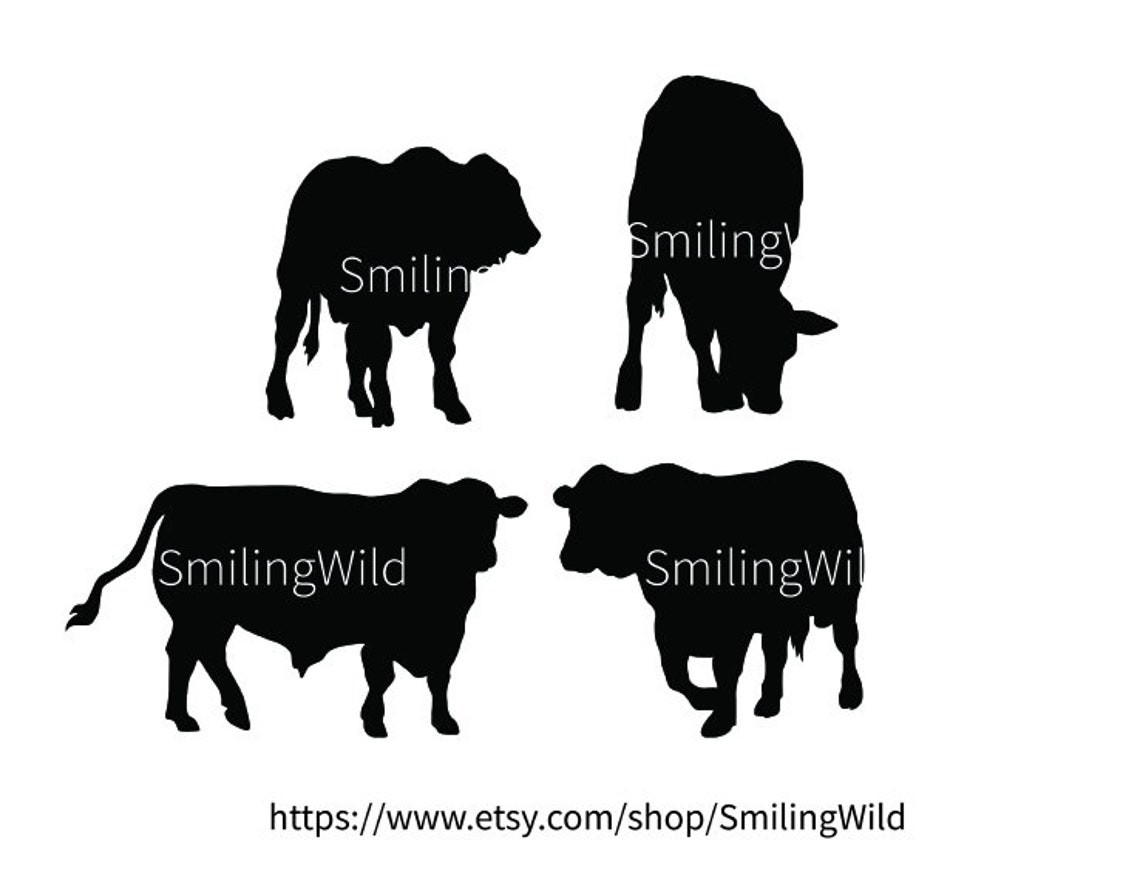 Beefmaster Cattle Svg Vector Graphic Silhouette Beefmaster - Etsy