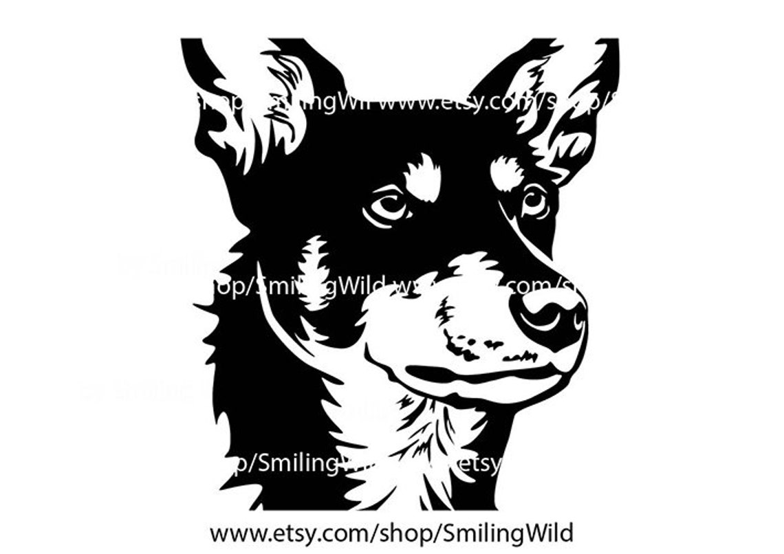 Australian Kelpie Svg Dog Head Portrait Vector Graphic Art - Etsy