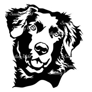 Stabyhoun Svg Vector Graphic Art Frisian Pointer Clipart Stabyhoun Png ...