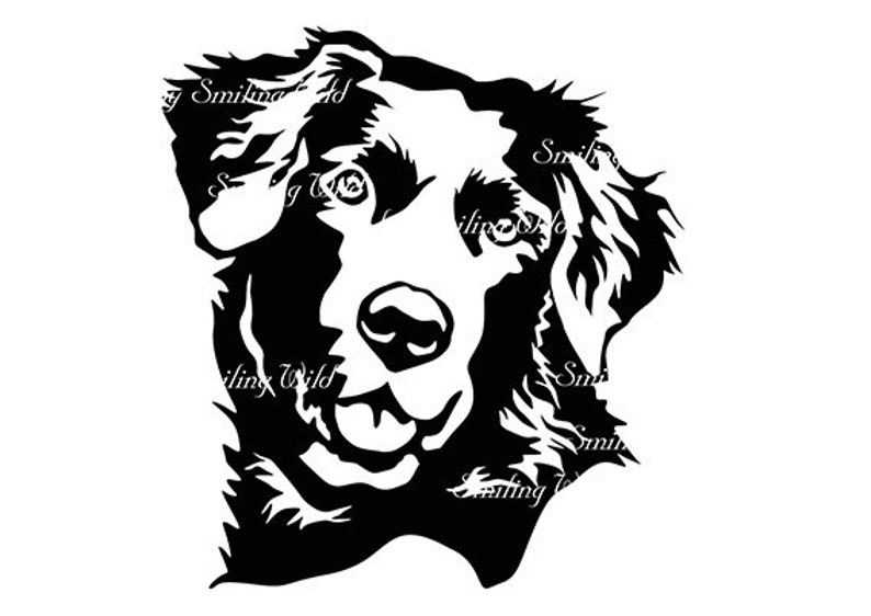 Stabyhoun Svg Vector Graphic Art Frisian Pointer Clipart - Etsy