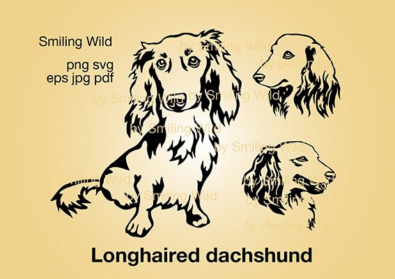 Long Dog Clipart