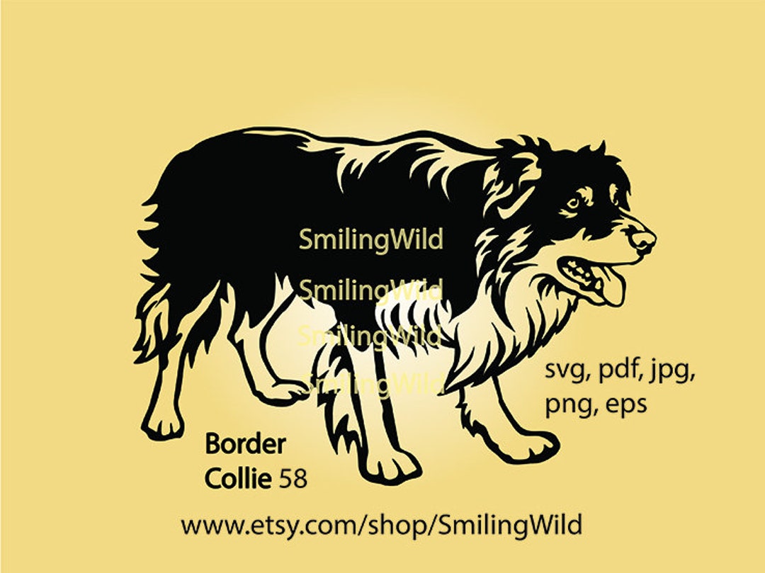 Border Collie Dog Svg Vector Graphic Clip Art Border Collie - Etsy