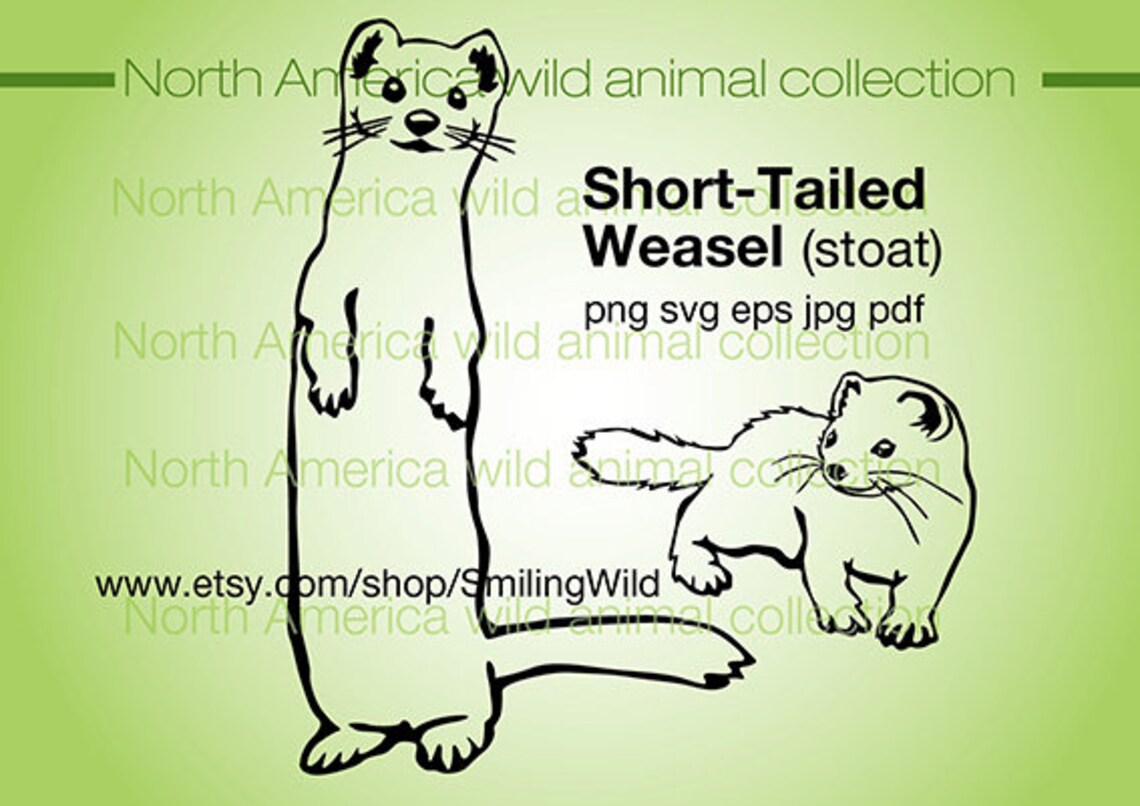 Short Tailed Weasel Svg Stoat Clipart Cut File Cuttable | Etsy