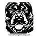 American Bully Dog Svg Cuttable Vector File American Bully - Etsy