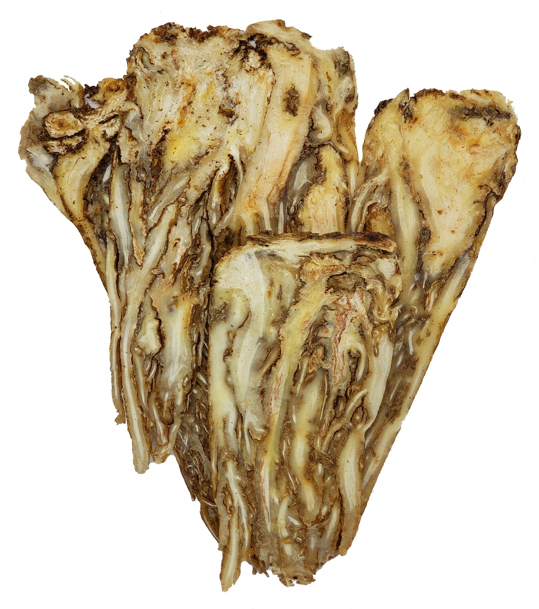 Dang Gui, Whole Dang Gui Roots Slices, Fresh, Excellent Medicinal Grade ...