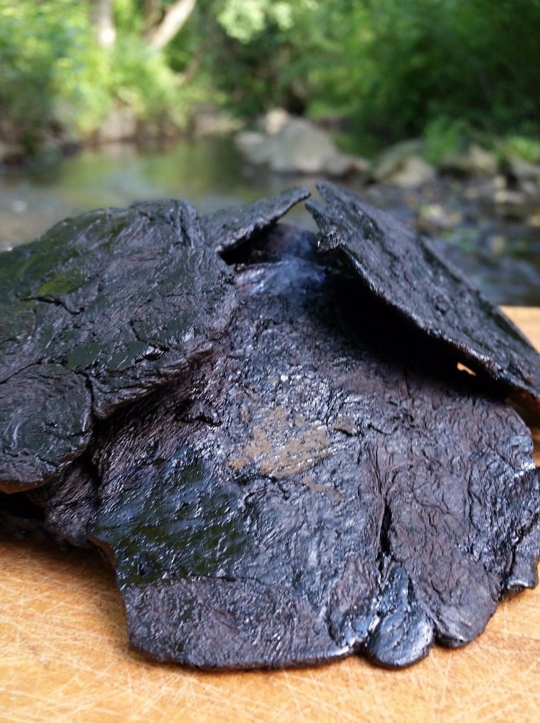 Whole Rehmannia Root | 16oz High Grade Whole Slices | Prepared | Shu Di ...