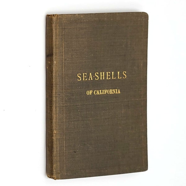 Sea Shells Books - Etsy