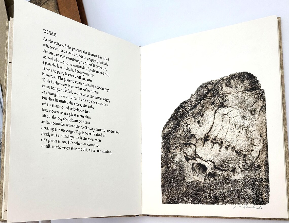 County Survey [jan Sobota, Binder] Ladislav Hanka ~ Kalamazoo ~ Fine ...