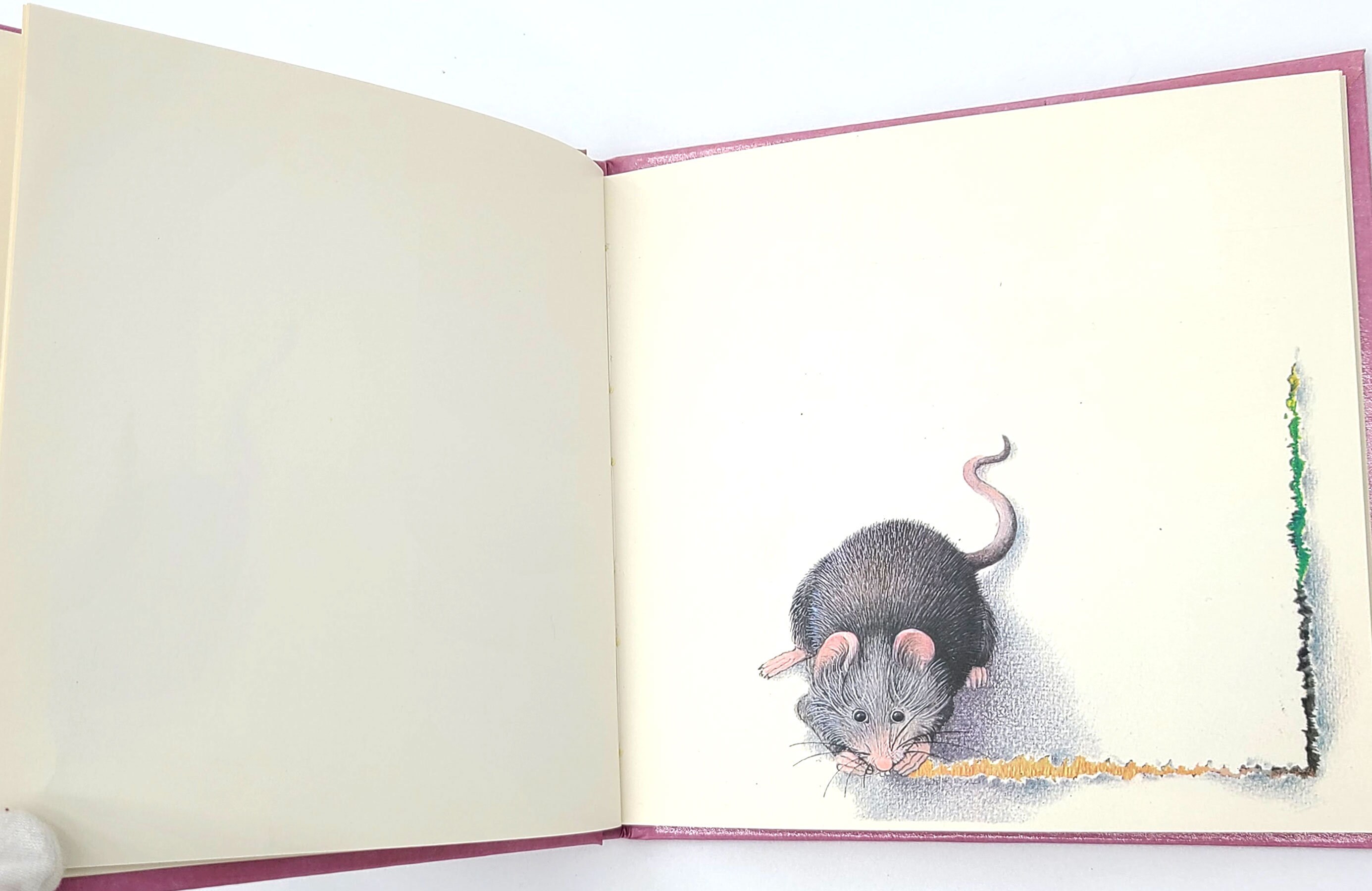 The story of a little mouse trapped in a book by MONIQUE FELIX ~ Green ...