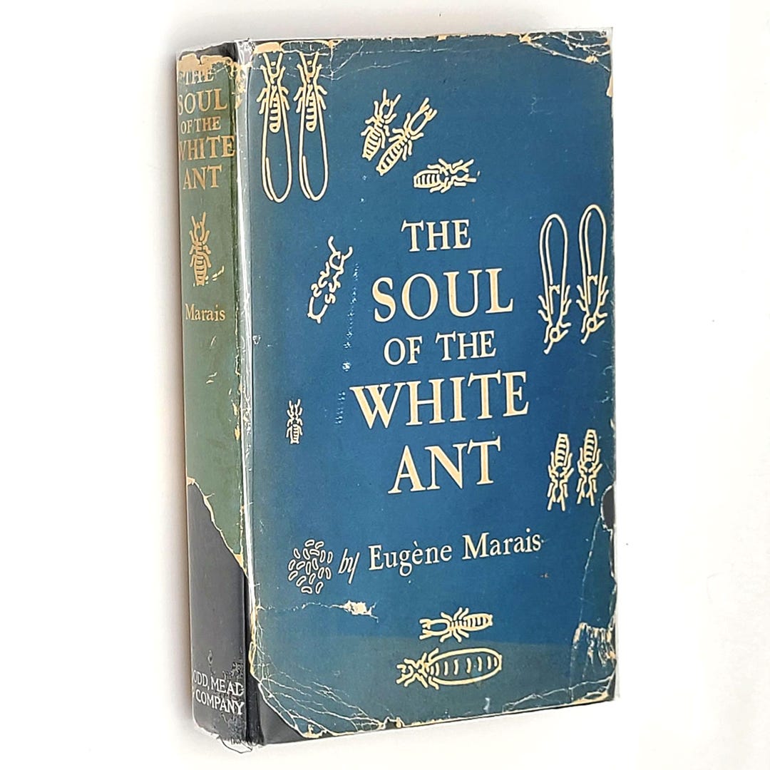 The Soul of the White Ant 1937 Eugene Marais First Edition Pioneering ...