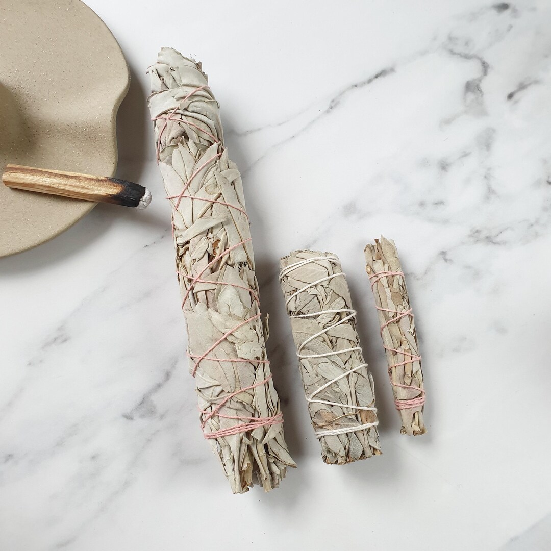 Jumbo White Sage Stick • 22 Cm • Salvia Apiana From California ...