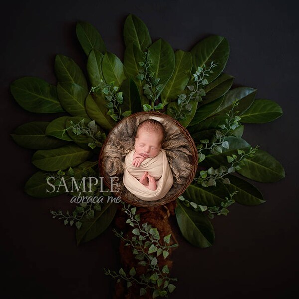 Hunting Newborn Digital Background - Etsy