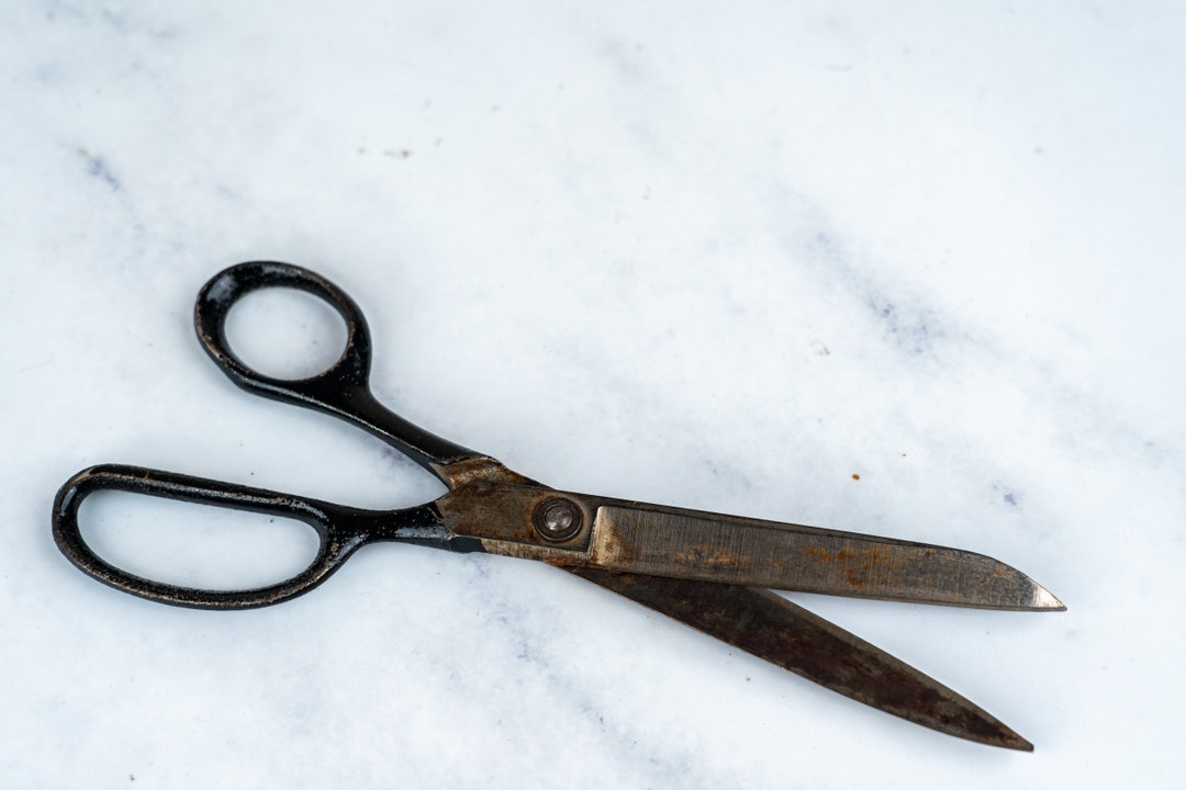 Vintage Kitchen Scissors-food Photography Props Food Styling Prop ...