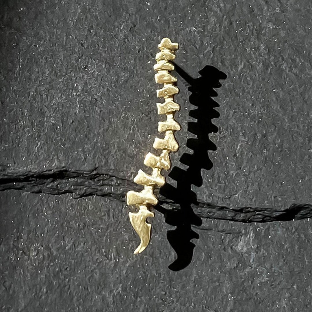 Customizable Spine Brooch, Neurologist Gift, Orthopedic Surgeon Gift ...