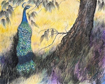 Original Peacock Oil Pastel Drawing - Etsy