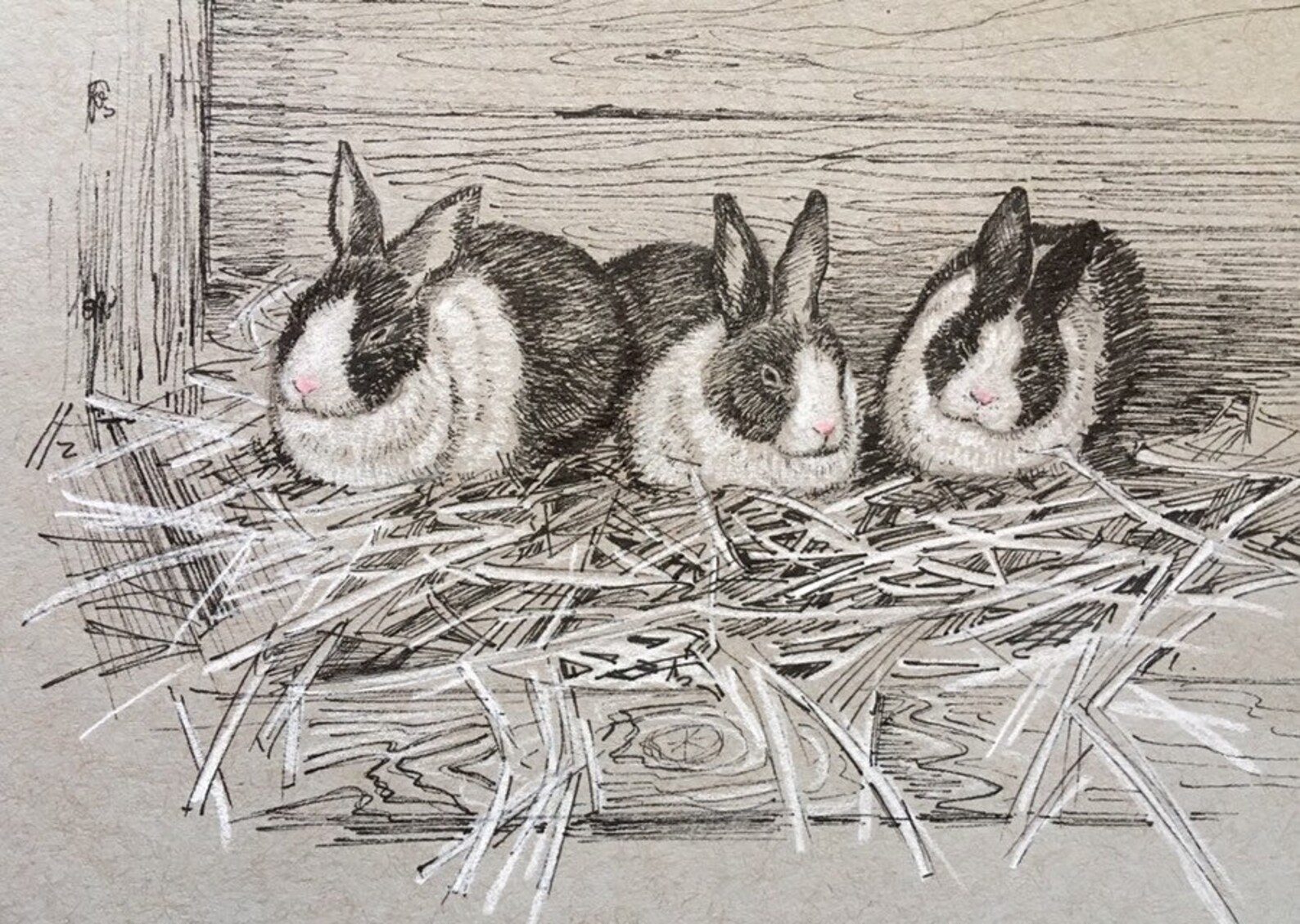 MATTED ORIGINAL Art/bunny Rabbit Drawing in Pen and Ink W/white Colored ...