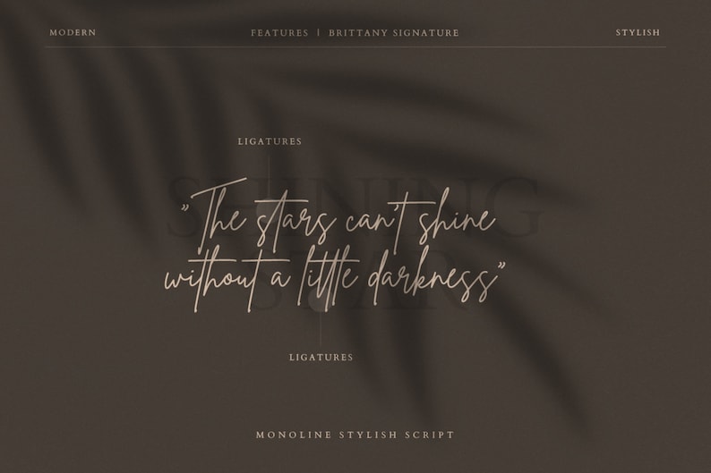 Brittany Signature Font for Canva Fonts, Templett, Corjl, Silhouette ...