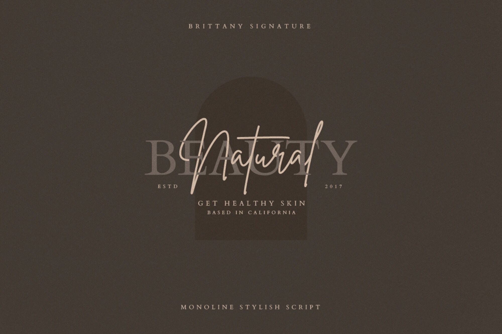 Brittany Signature Font for Canva Fonts Templett Corjl | Etsy