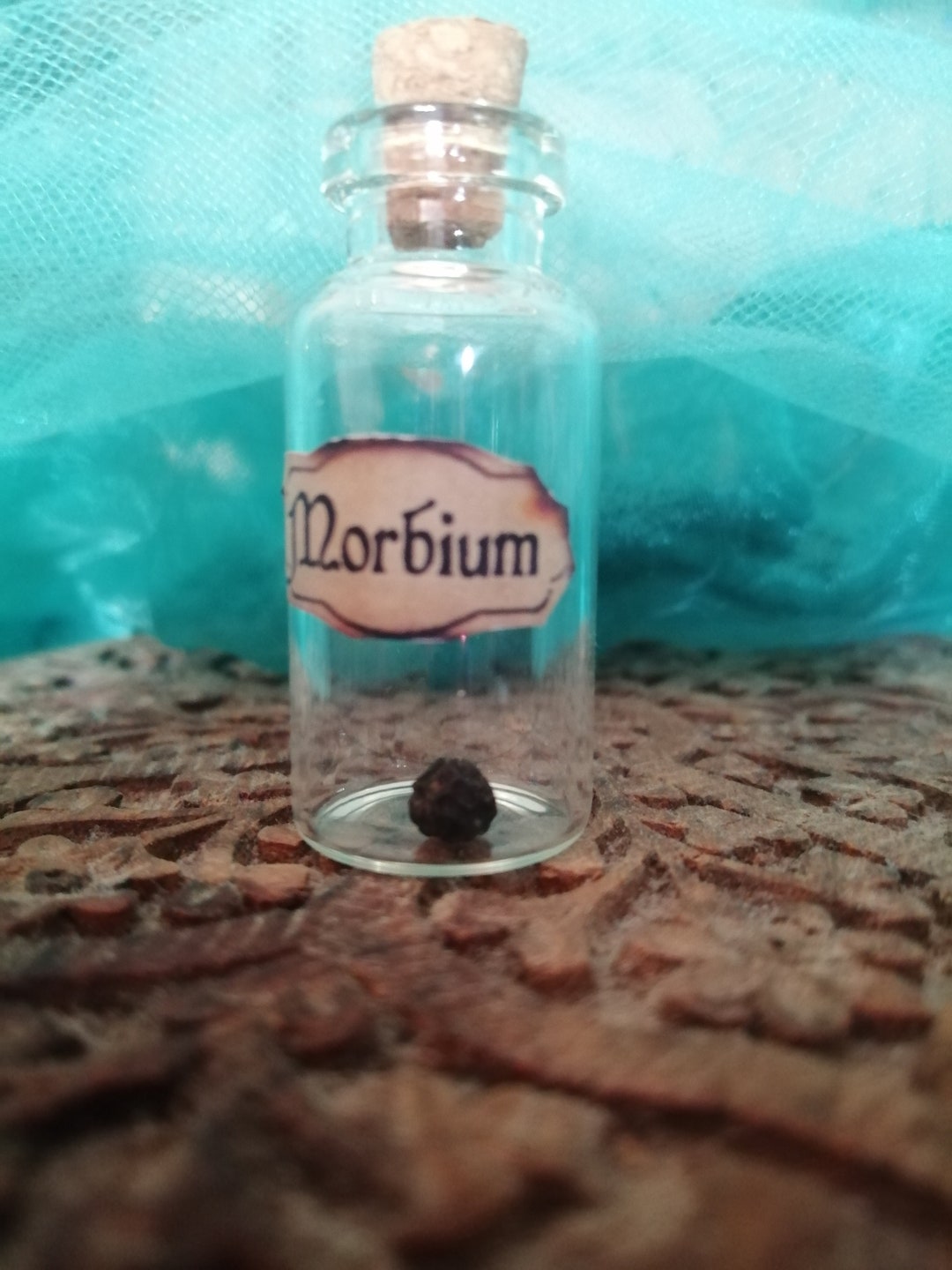 Buy Just Add Magic Spice Morbium Seed Online in India - Etsy