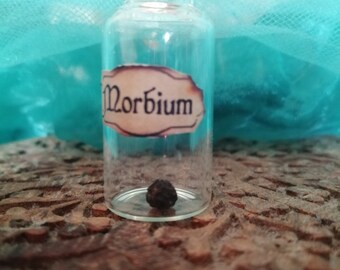 Just Add Magic Spice Box - Etsy