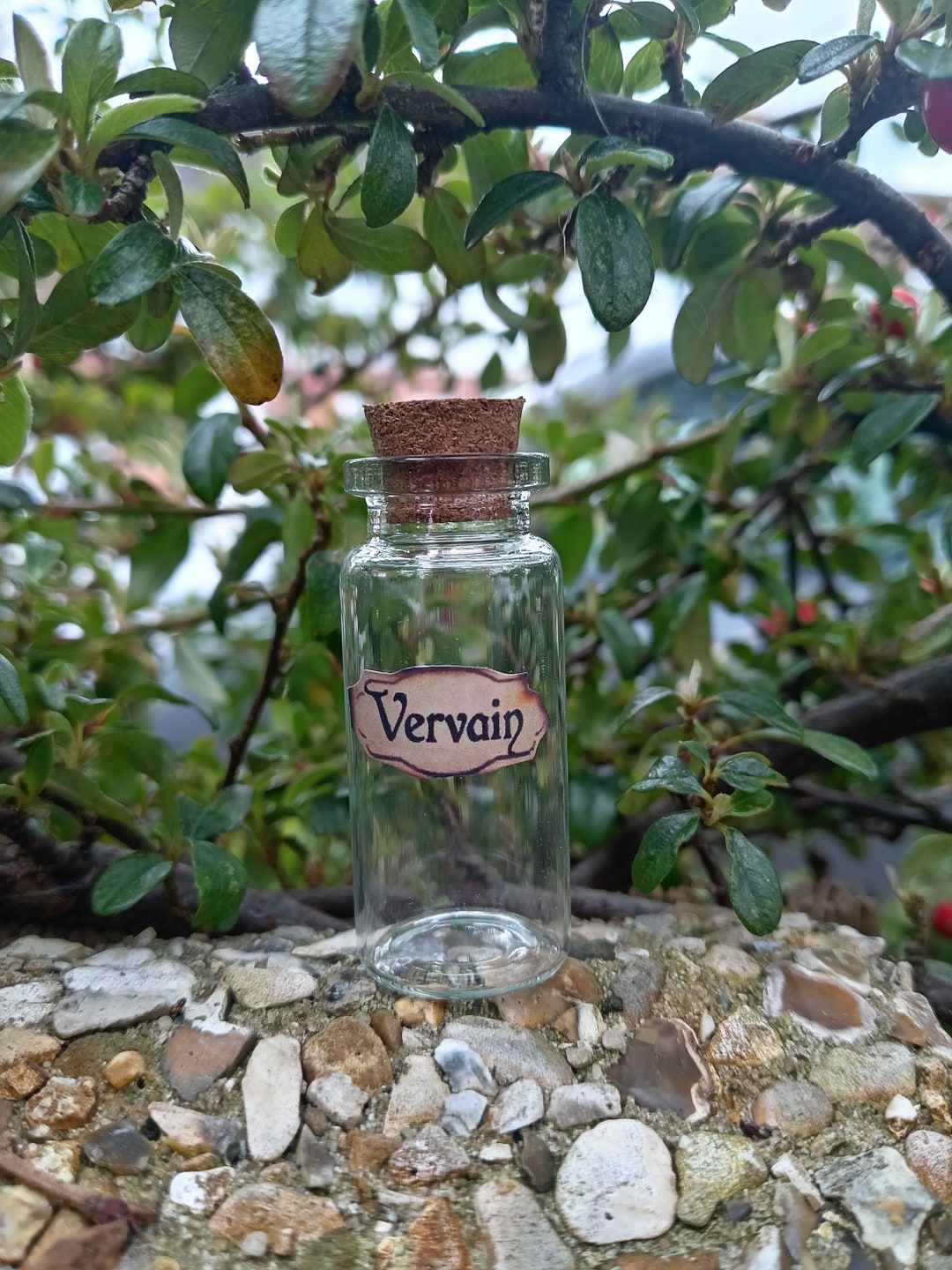 Vervain Potion Bottle. Vampire Protection Party/wedding Favour - Etsy