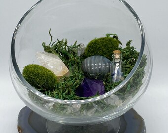 Crystal Garden Kit - Etsy
