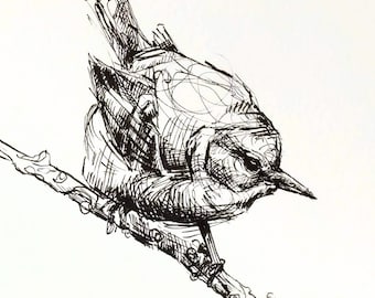 Pen and Ink Bird Art | Etsy