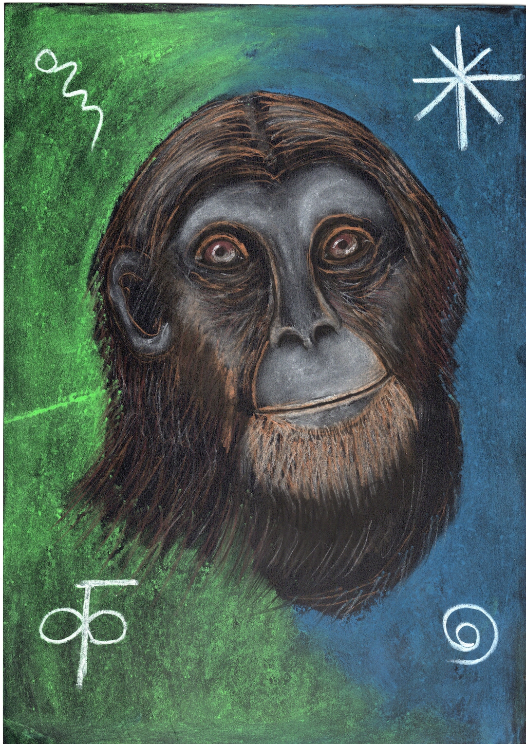 Your Spirit Animal, TOTEM ANIMAL Drawing Animated. Spirit Guide Drawing ...