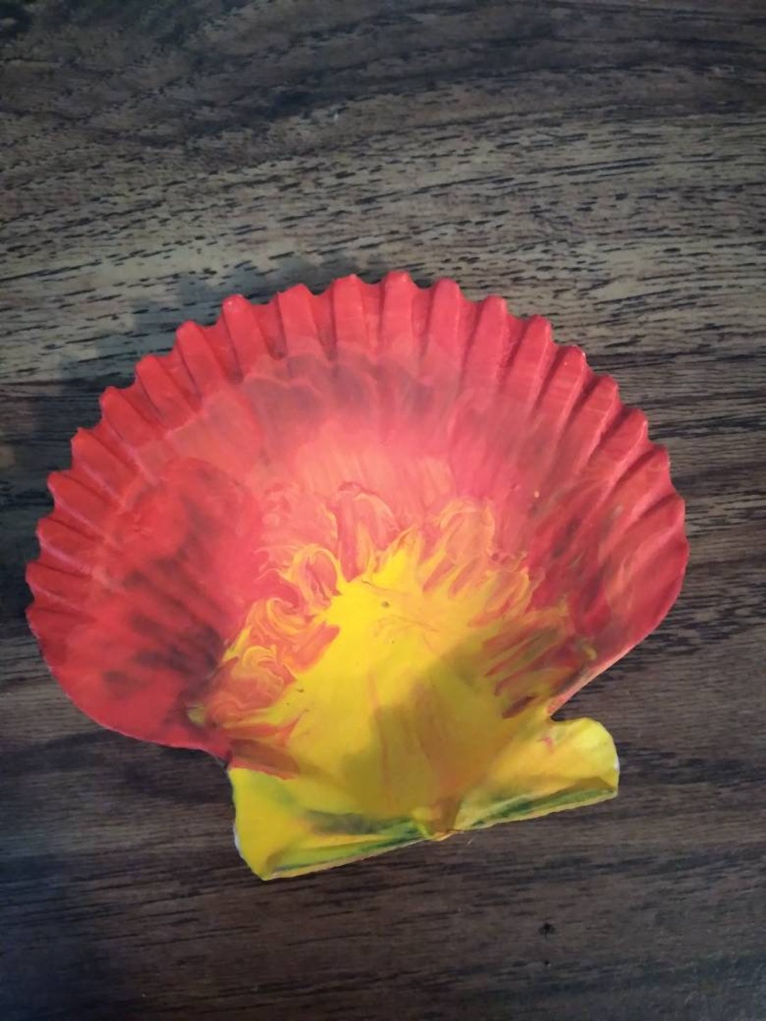 Sunburst Seashell - Etsy