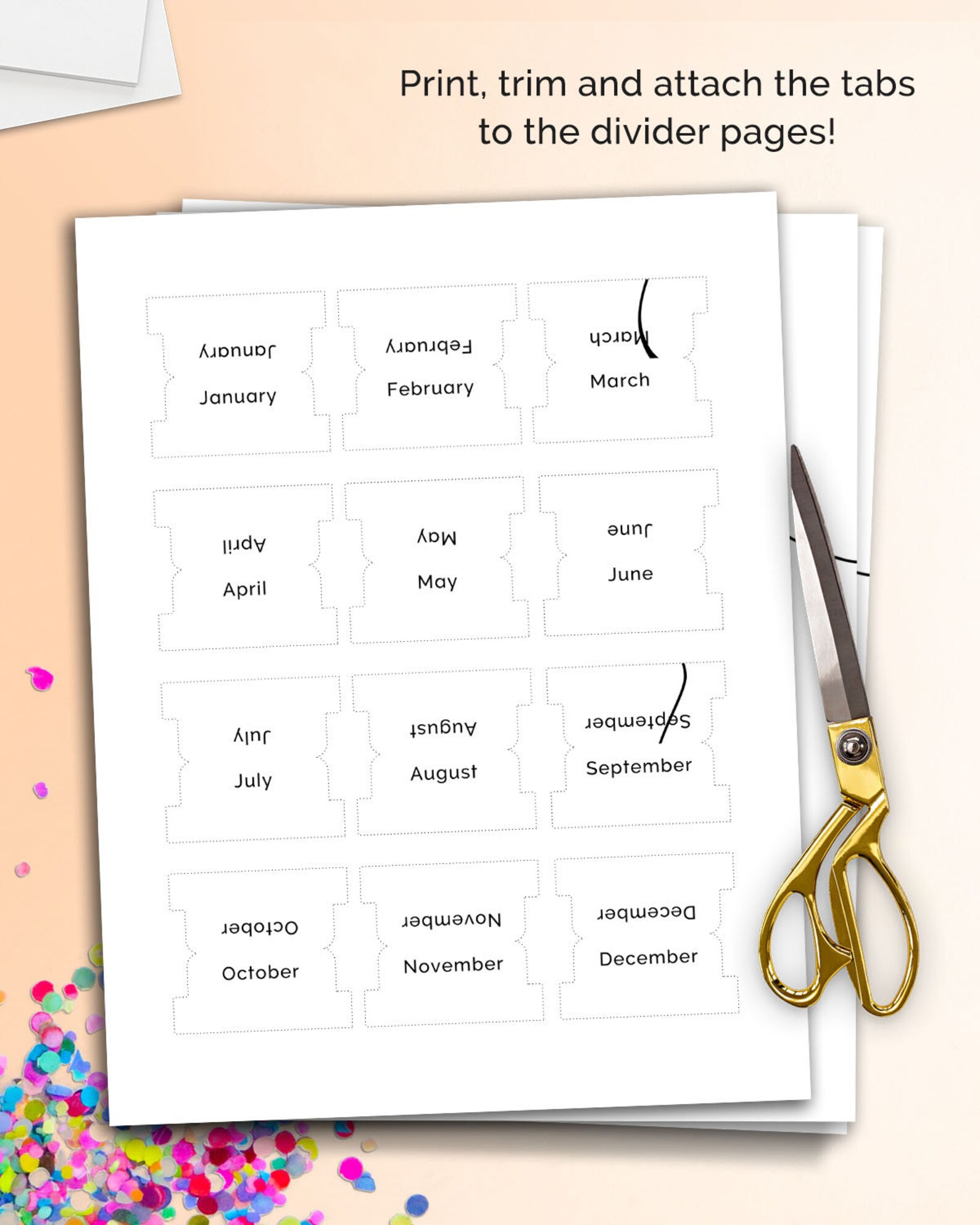 Binder Dividers Planner Dividers Planner Tabs Monthly Tabs - Etsy
