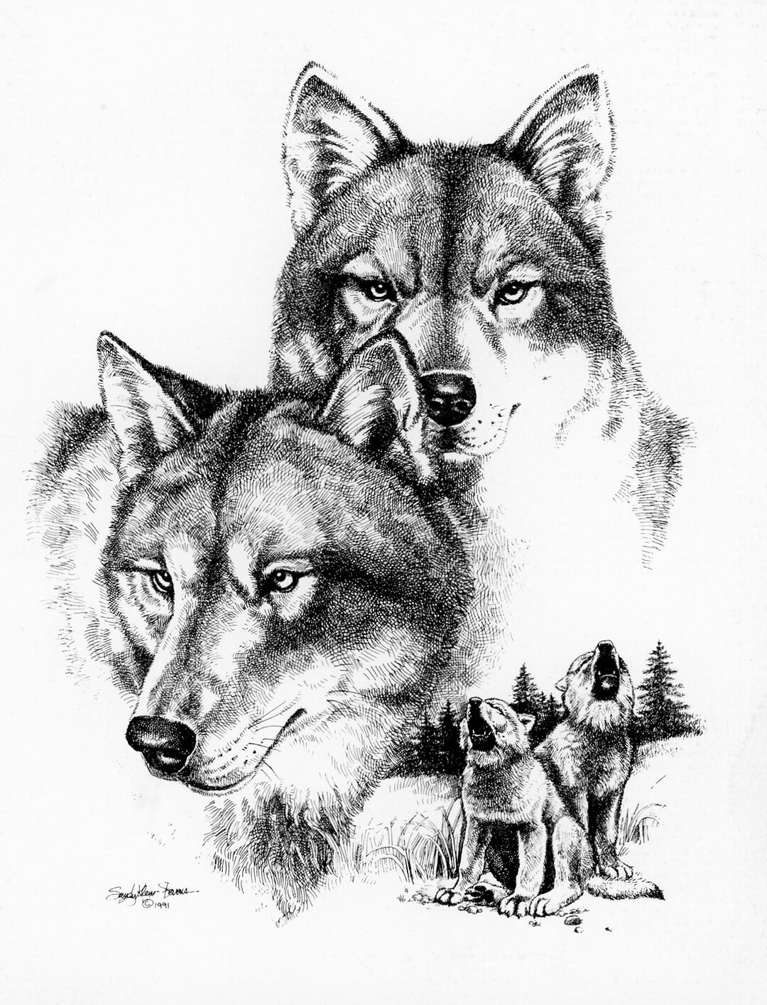 11 X 14 Pen and Ink Wolf Partners Giclee Limited Edition Print - Etsy ...