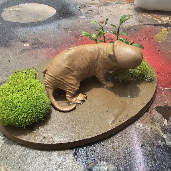 Naked Mole Rat in Romania - Etsy New Zealand