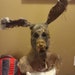 Rabbit Scarecrow Scary Halloween Mask - Etsy