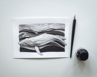 Walvis tekening | Etsy Nederland