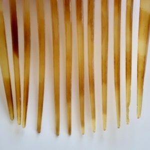 Antique Italian Red Coral Comb W Fitted Case Victorian - Etsy